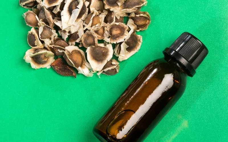 How to Eat Moringa Seeds for Weight Loss? 6 Method - Lifestylic - Easy ...